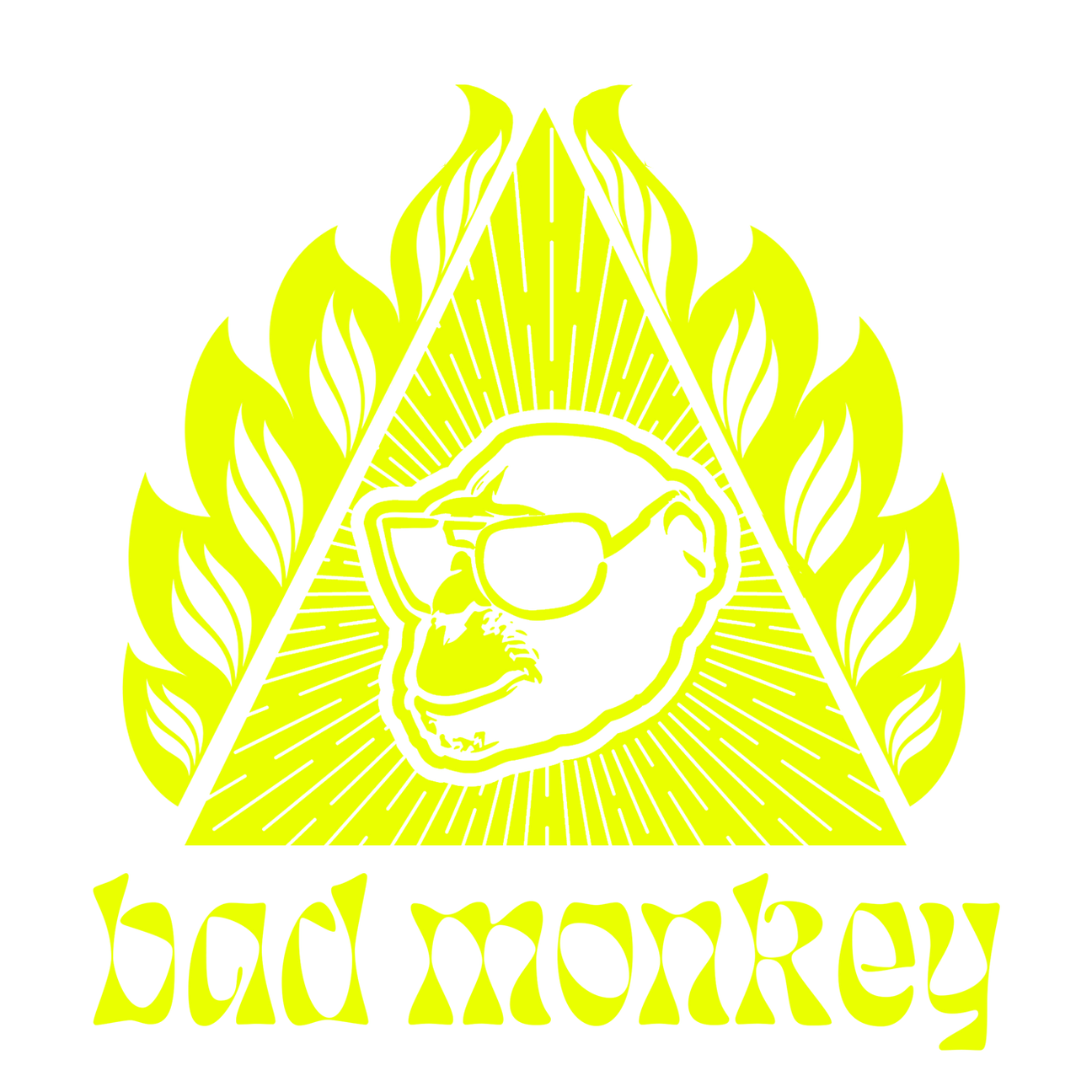 EVERYTHING – Page 3 – Bad Monkey OC